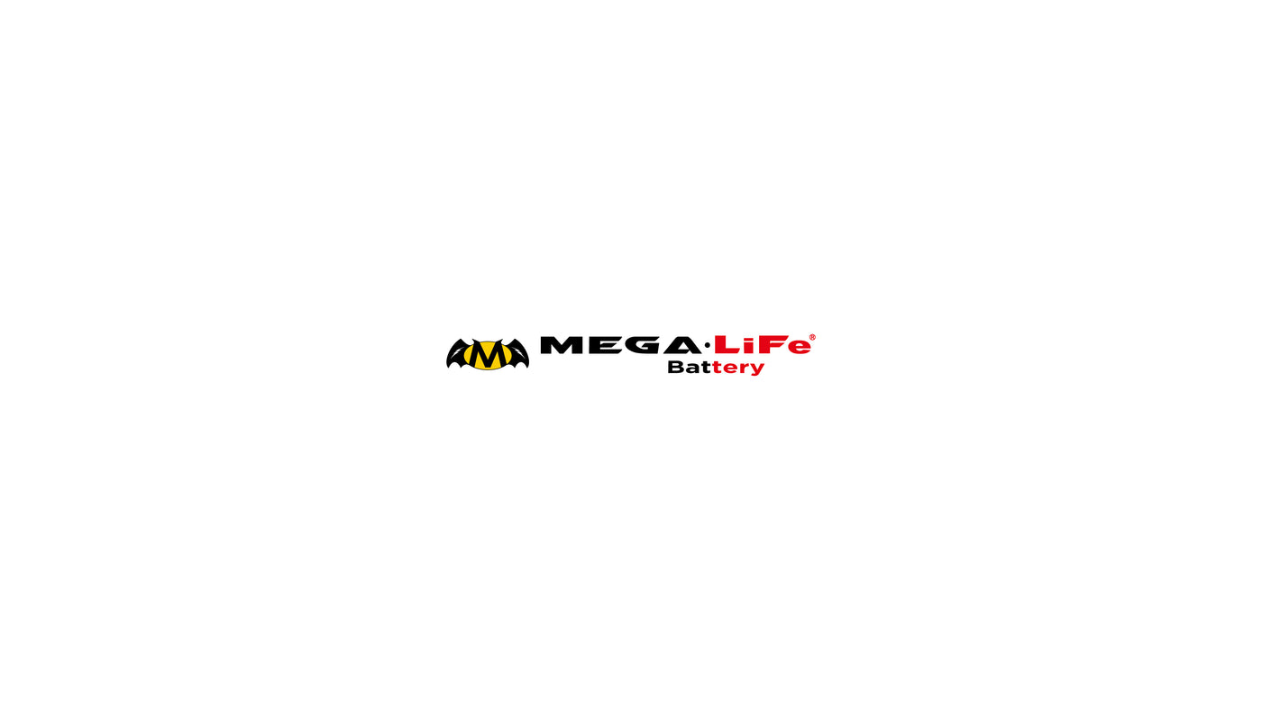 MEGA-LiFe – AAI Motorsports
