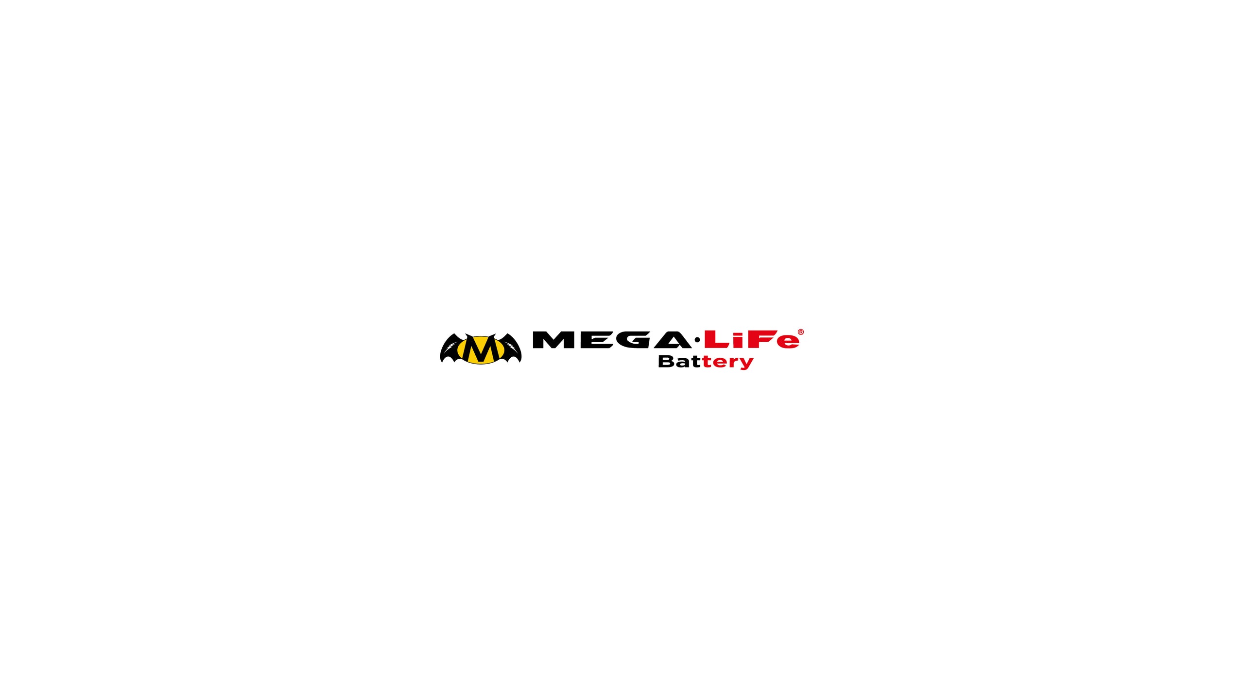 MEGA-LiFe – AAI Motorsports