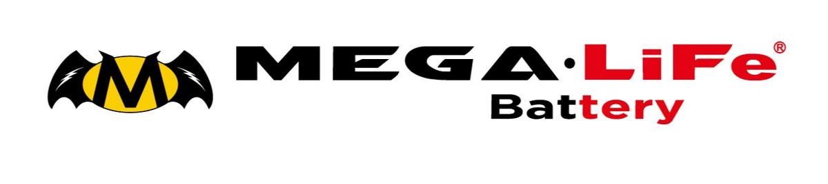 MEGA-LiFe – AAI Motorsports